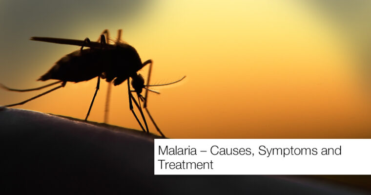 Malaria - Symptoms, Plasmodium, and Transmission of the Disease - FAQs