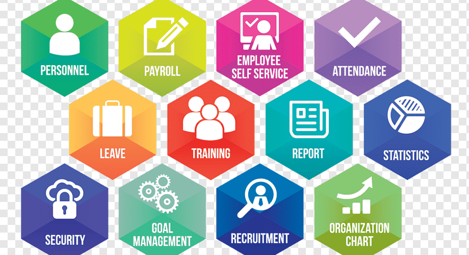 What Is Human Resource Management System HRMS FAQs What Is Human Resource Management System HRMS FAQs