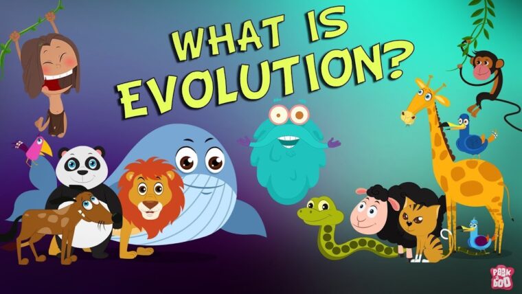 What is Evolution? - FAQs