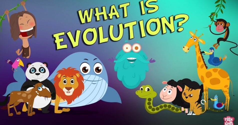 What is Evolution? - FAQs