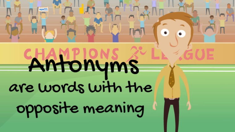 What is an Antonym? - FAQs