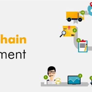 Who is Who and What is What in English? - FAQs